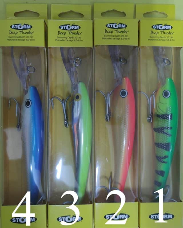 storm deep thunder dth15